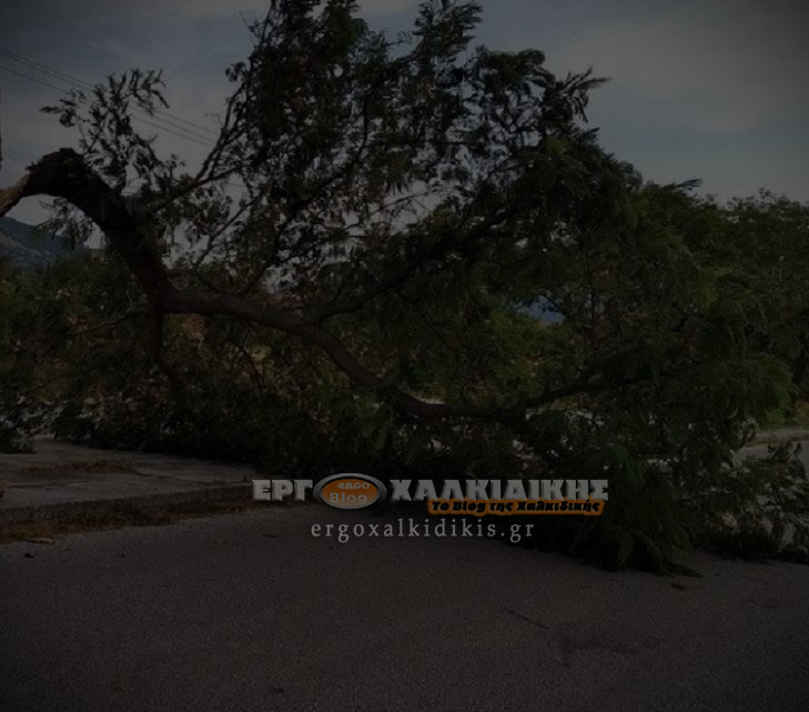 Κλειστός προσωρινά ο δρόμος στην περιοχή της Τρανής Αμμούδας